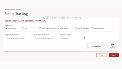 Easy Steps to Checking Your Golden Visa Status - UAE Expatriates
