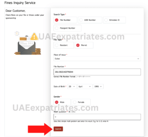 How to Check and Pay Overstay Fine in UAE in 2025 - UAE Expats