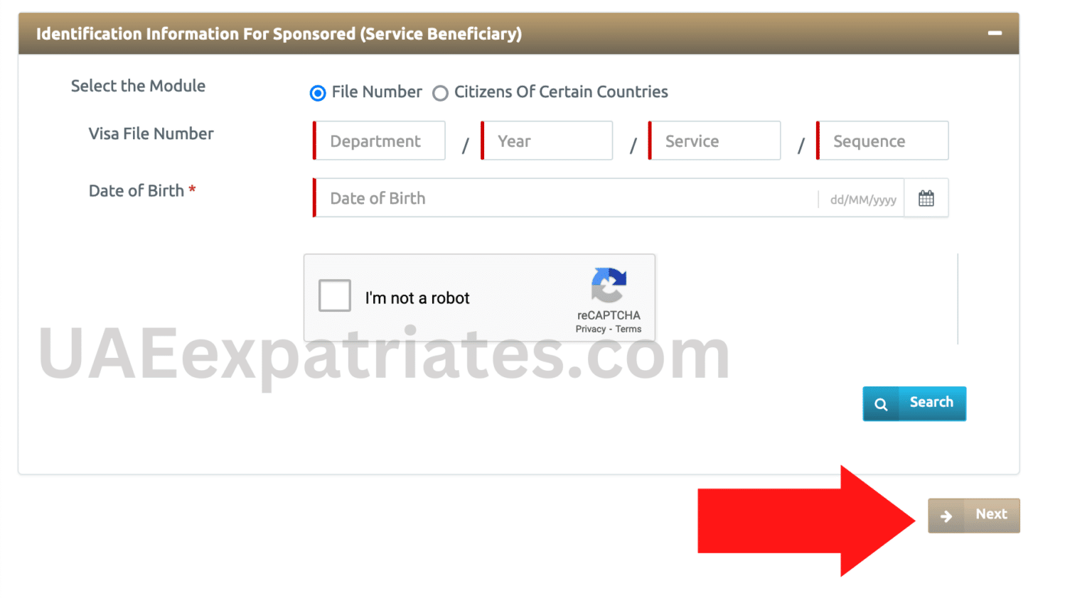 How to Check and Pay Overstay Fine in UAE in 2025 - UAE Expats