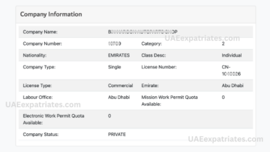 How to Check Trade License and Company Information Online in UAE - UAE ...