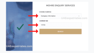How to Check Trade License and Company Information Online in UAE - UAE ...