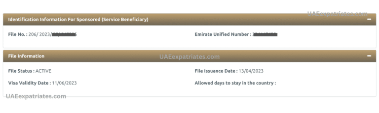 How to Check Your UAE Visa Status with Passport Number - UAE Expats