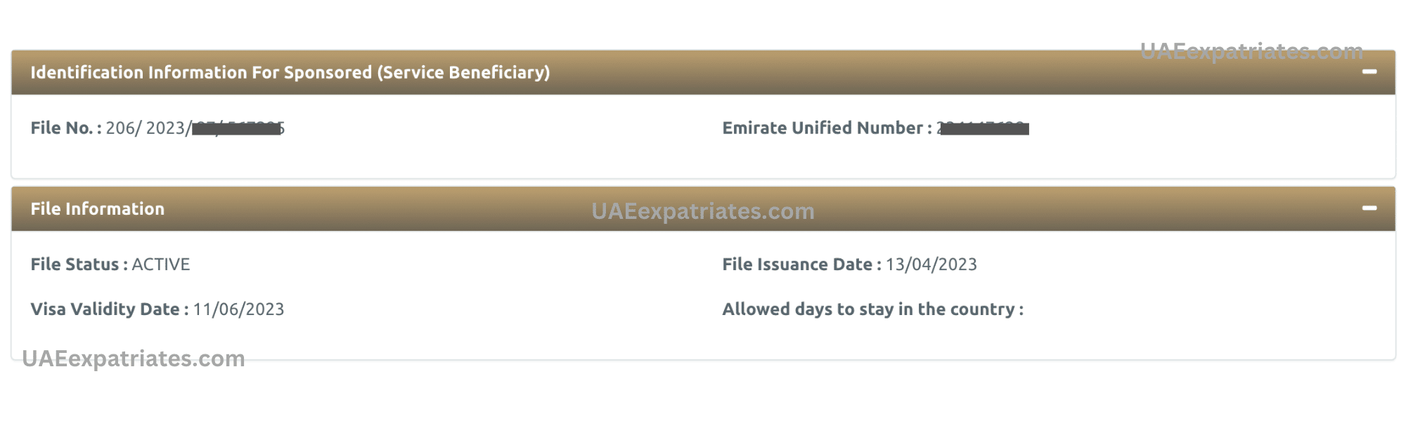 How to Check Your UAE Visa Status with Passport Number - UAE Expats