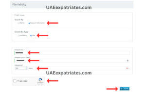 How to Check Your UAE Visa Status with Passport Number - UAE Expats