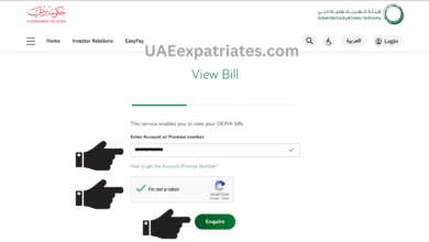 A Simple Guide to Checking Your DEWA Bill Online - UAE Expats