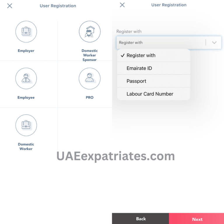 How to Check Your Labour Card in UAE Online: A Simple Guide - UAE Expats