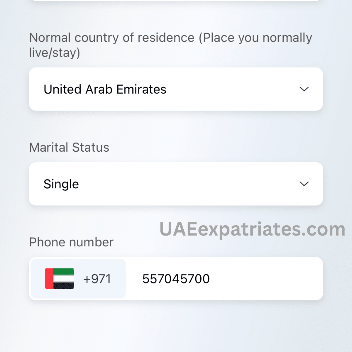 Opening Your Emirates NBD Account: A Step-by-Step Guide - UAE Expats