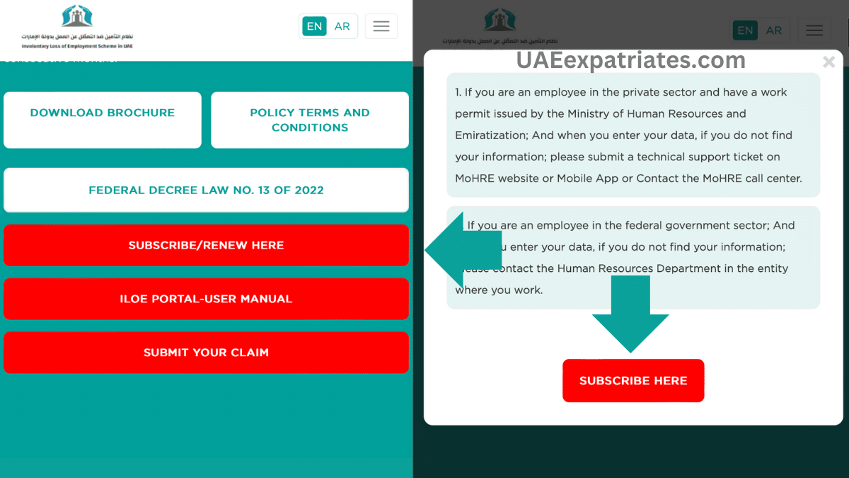 ILOE Insurance: How to Check Status, Who is Eligible & Benefits - UAE ...